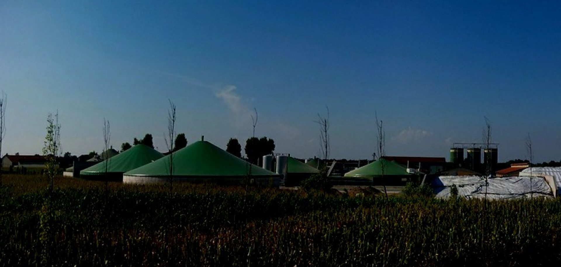 DAS BIOGAS GHANA – The quality biogas production company!